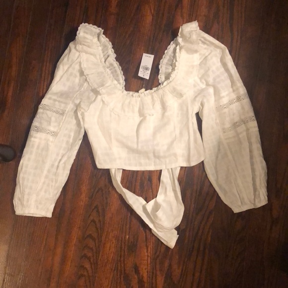 American Eagle Outfitters | Tops | Nwt American Eagle Crop Pheasant Top ...